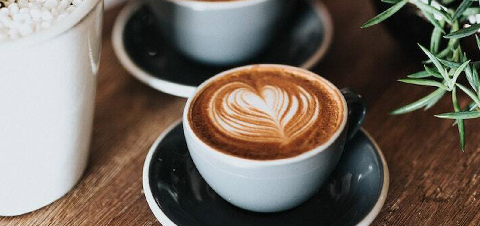 Gourmet coffee store